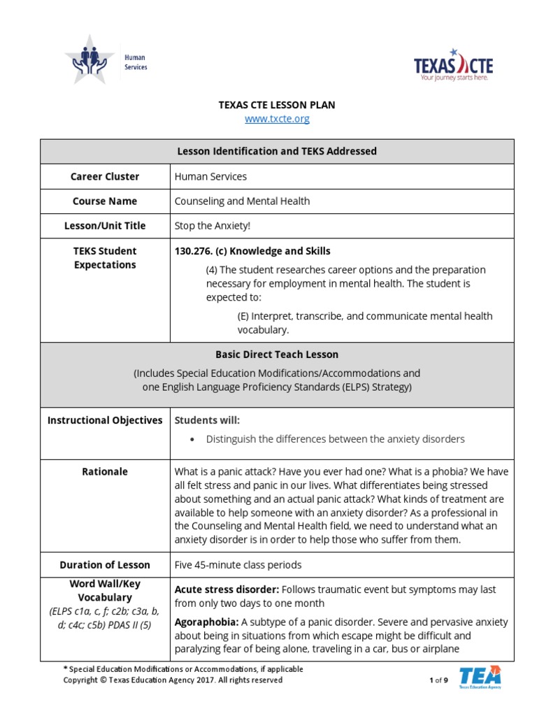 Lesson Plan Stop The Anxiety! | PDF | Anxiety Disorder | Individualized ...