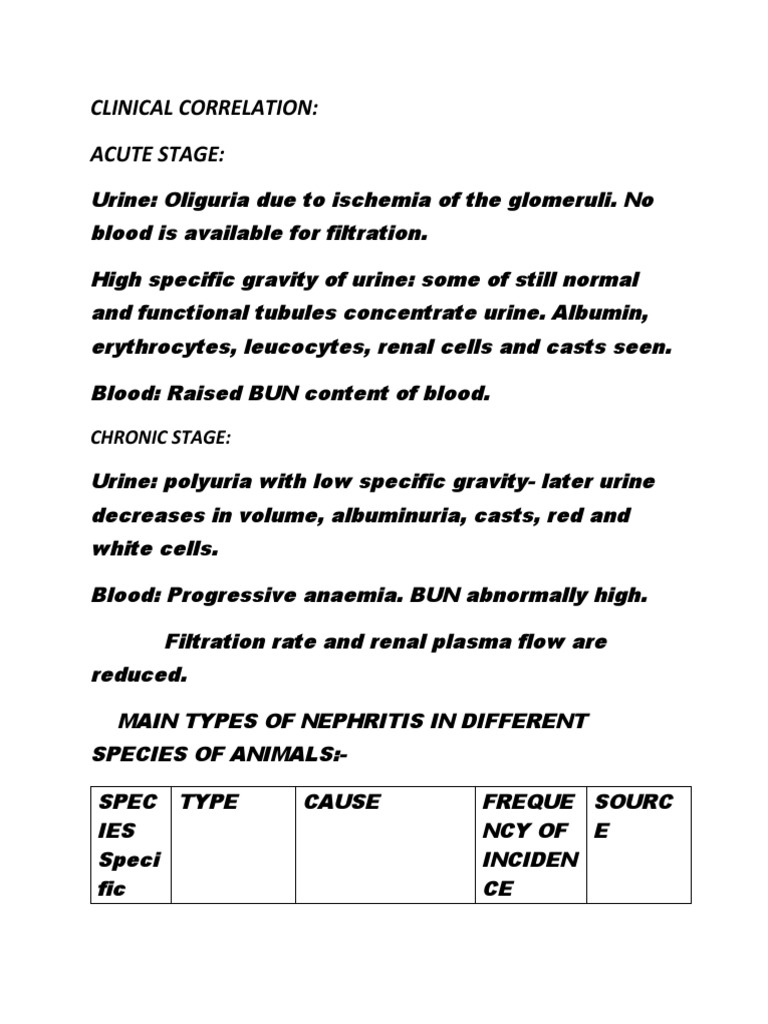 Clinical Correlation | PDF | Urinary Bladder | Anatomy