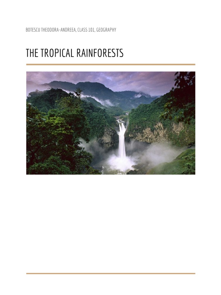 The Tropical Rainforests | PDF | Tropics | Rainforest