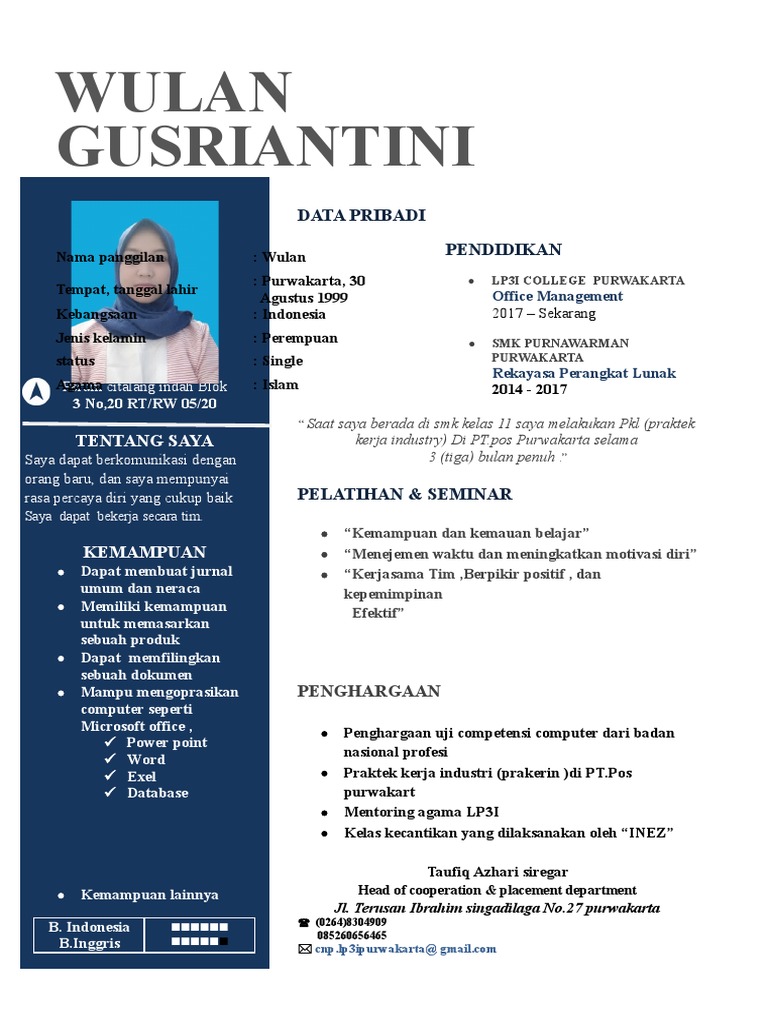 Revisi CV INDO | PDF