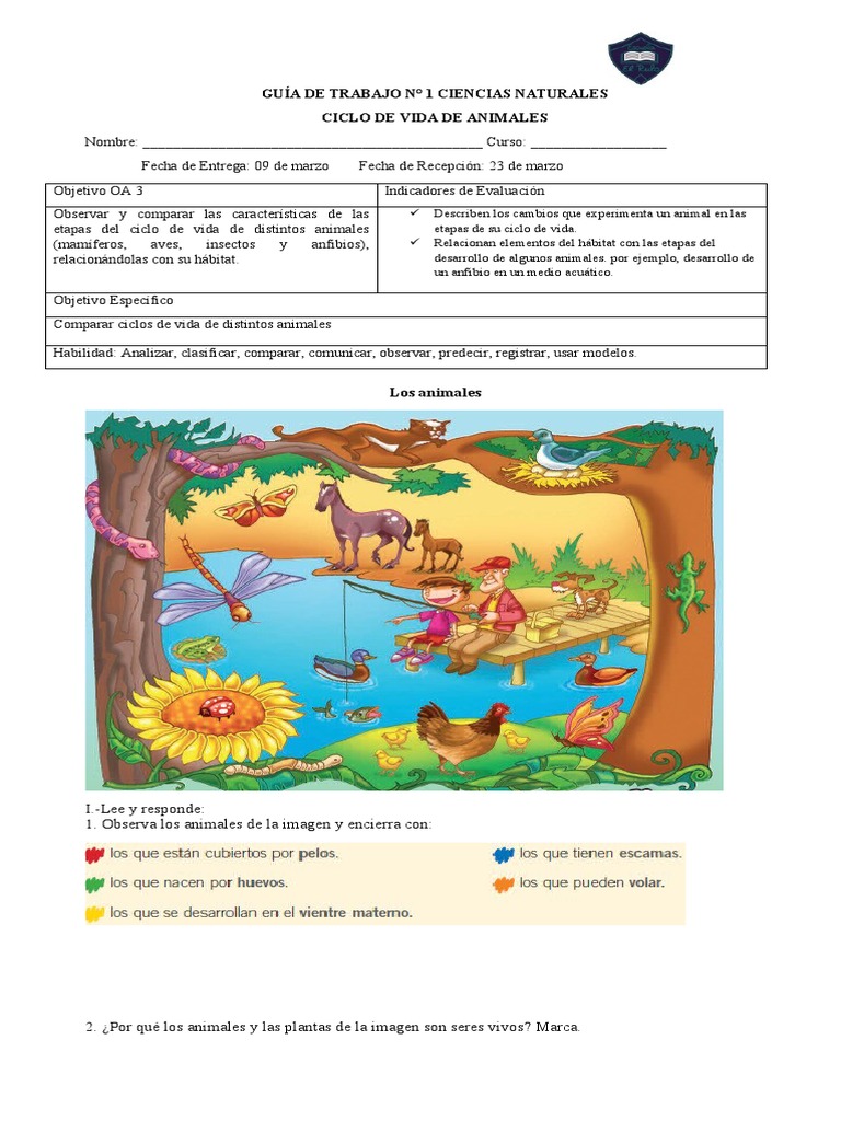 Ciclo de Vida de Animales para Niños | PDF | Aves | Reptil