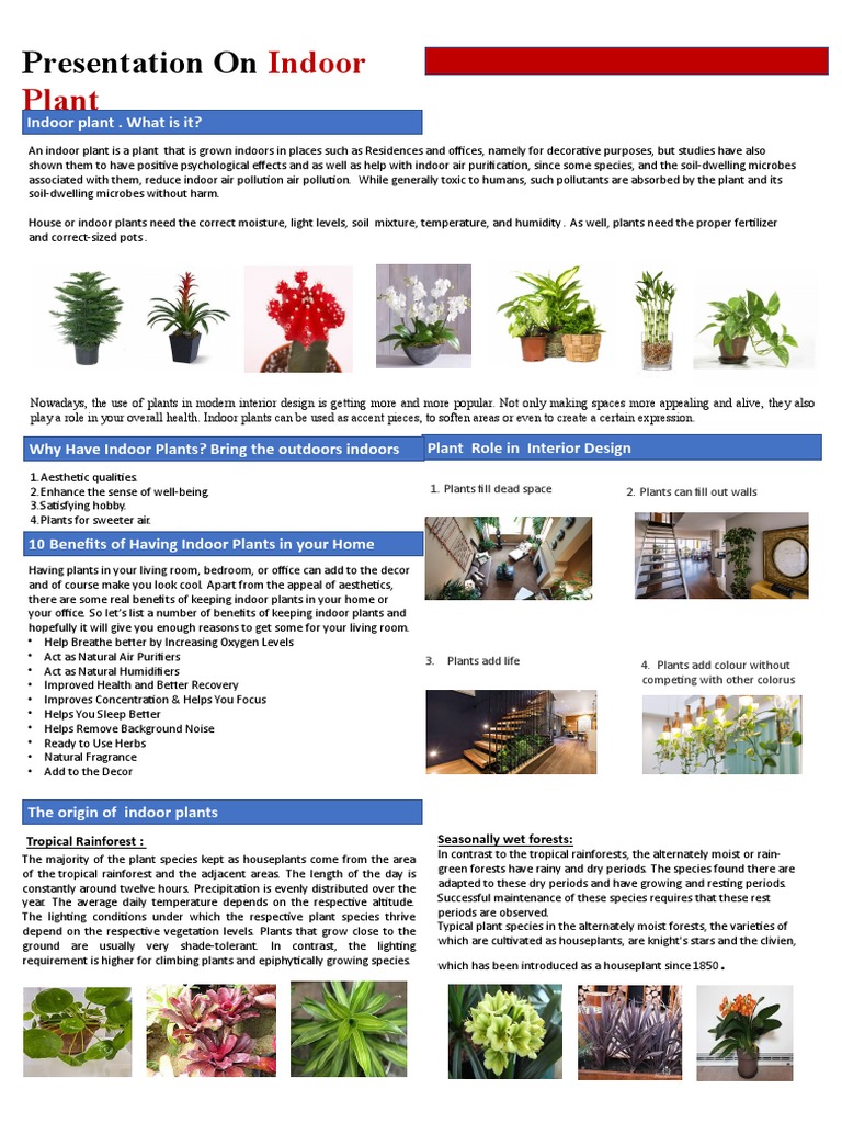 Benefits of Indoor Plants | PDF | Houseplant | Plants