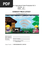 Field Layout Techniques in Agriculture | PDF | Crops | Agriculture