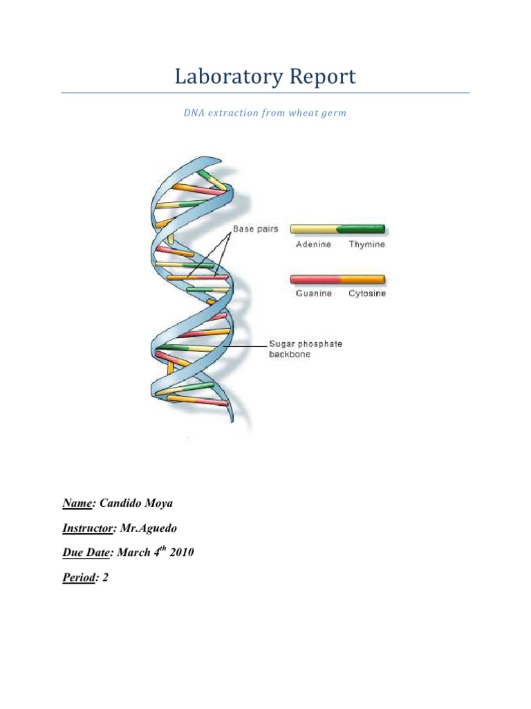 Laboratory Report - DNA Extraction | PDF | Cell (Biology) | Biology