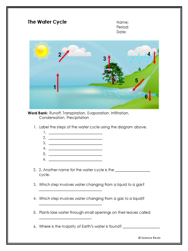 Biogeochemical Cycles Worksheets | PDF | Carbon Cycle | Water Cycle