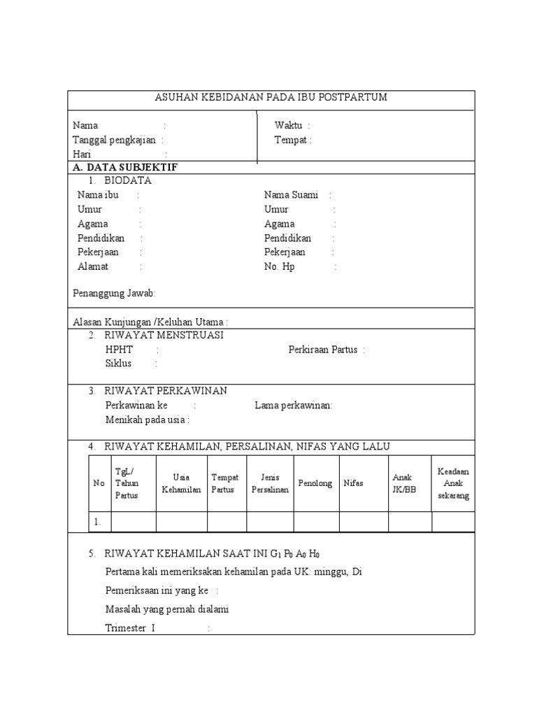 Format Lengkap PNC | PDF | Kesehatan Holistik