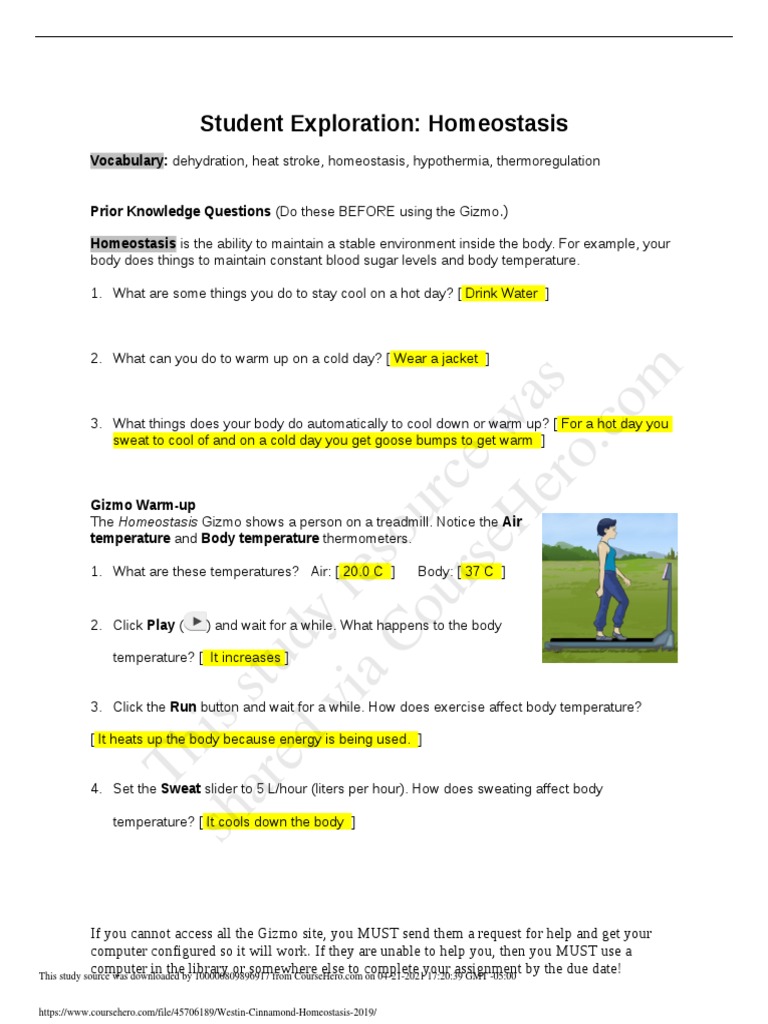 This Study Resource Was: Student Exploration: Homeostasis | PDF ...