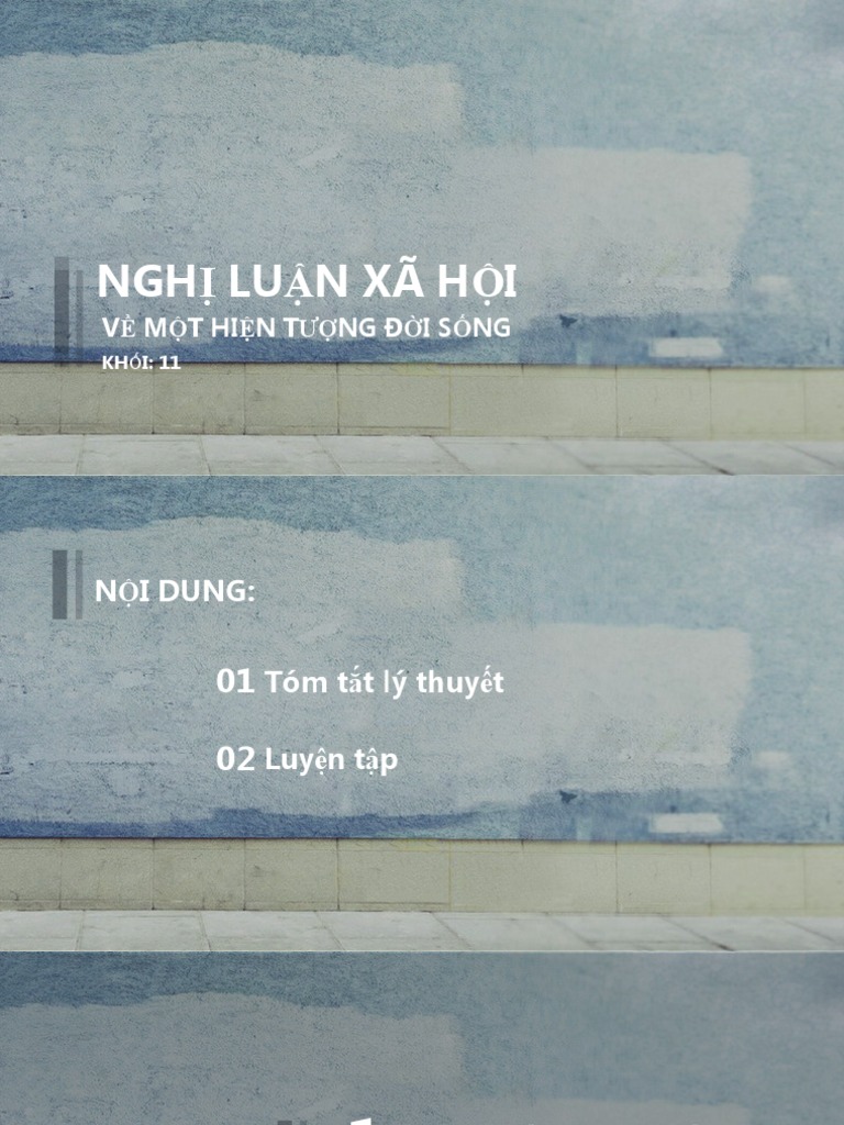 Nghi Luan Xa Hoi Ve Mot Hien Tuong Doi Song 244202022 | PDF