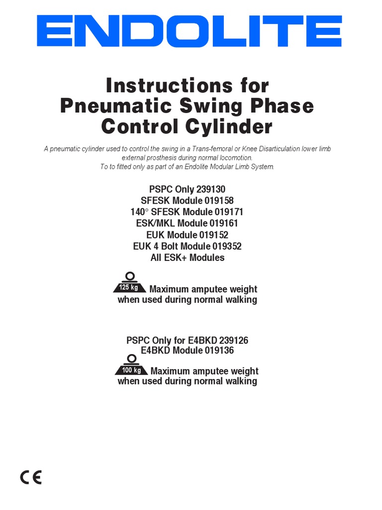 Iss6 - Control Cylinder - ASSISTOR SPRING | PDF | Nut (Hardware) | Screw