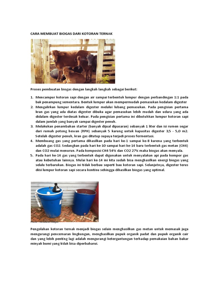 Cara Membuat Biogas Dari Kotoran Ternak | PDF