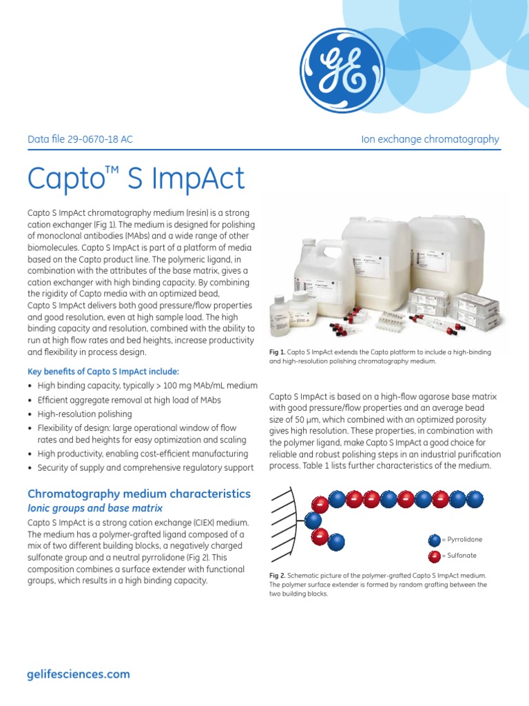 Capto S Impact Datafile | PDF | Monoclonal Antibody | Ion Exchange