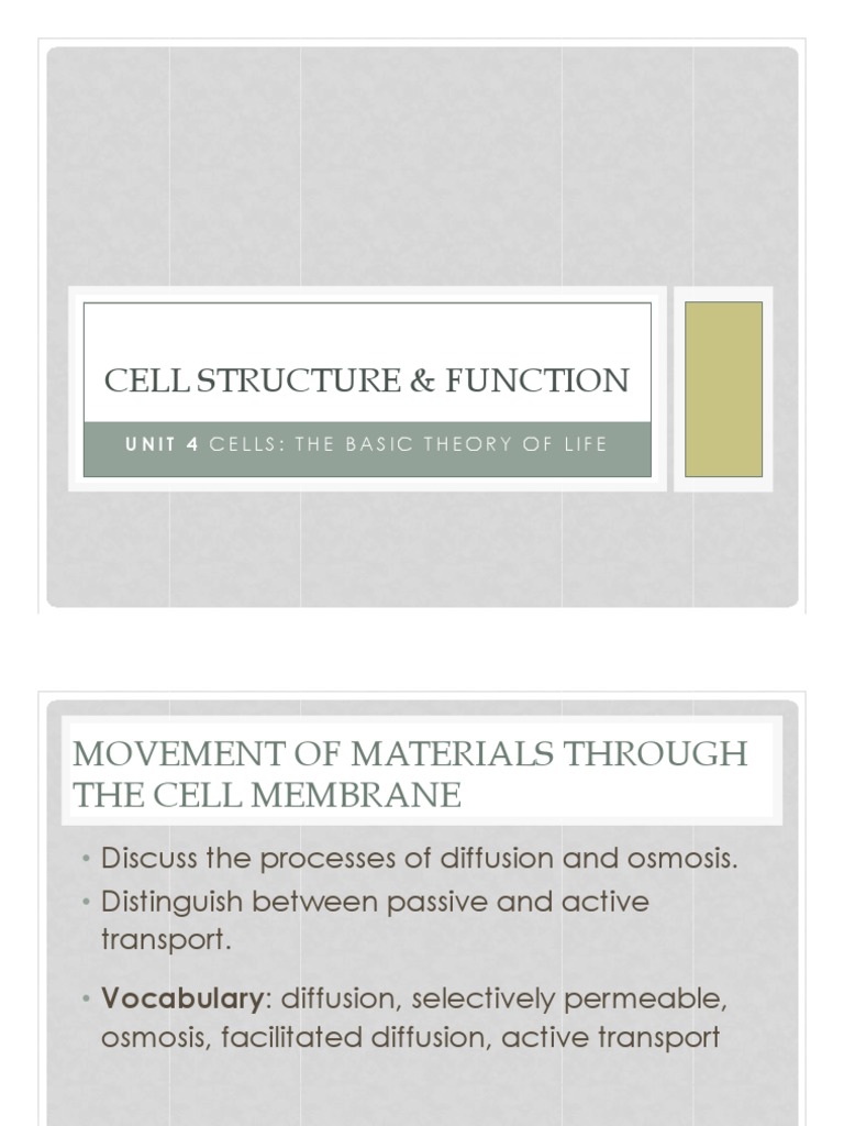 Passive & Active Transport | PDF | Osmosis | Cell Membrane