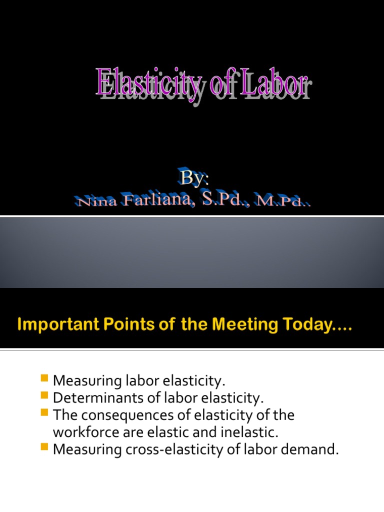 Labor Demand Elasticity Analysis | PDF | Labour Economics | Elasticity ...