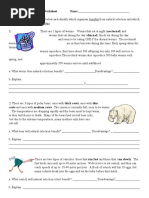 Pigeon Genetics: Answer Key | PDF | Dominance (Genetics) | Genotype