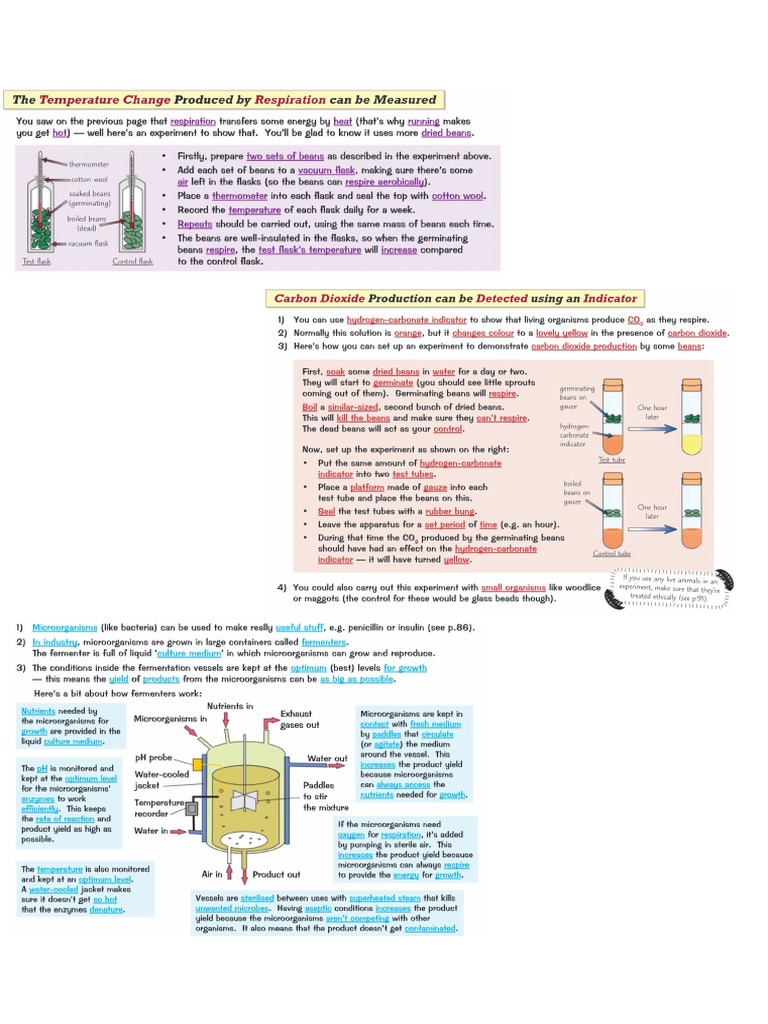 Biology Experiments From CGP GCSE Guide | PDF