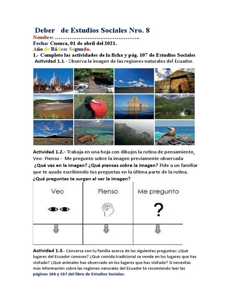 Actividades sobre Regiones Naturales del Ecuador | PDF | Arte ...