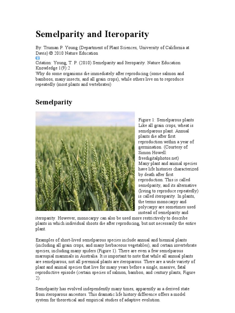 Semelparity and Iteroparity | PDF | Reproduction | Habitat