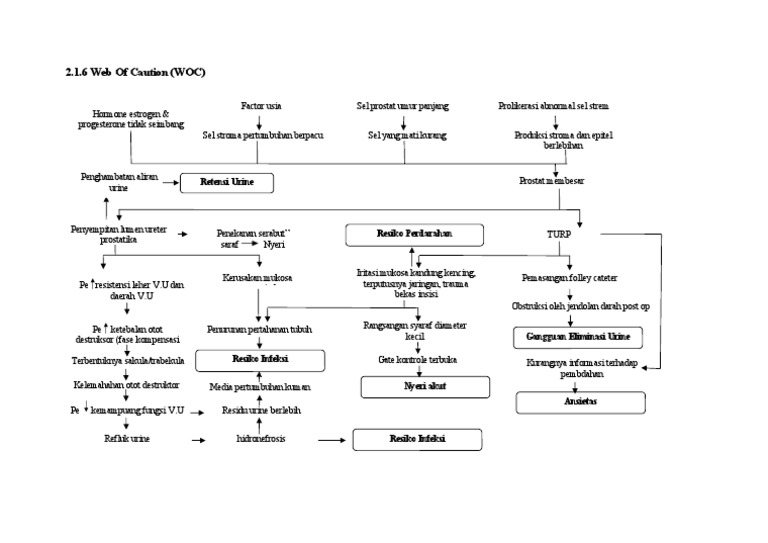 Woc BPH Nanda Nic Noc 2015 | PDF
