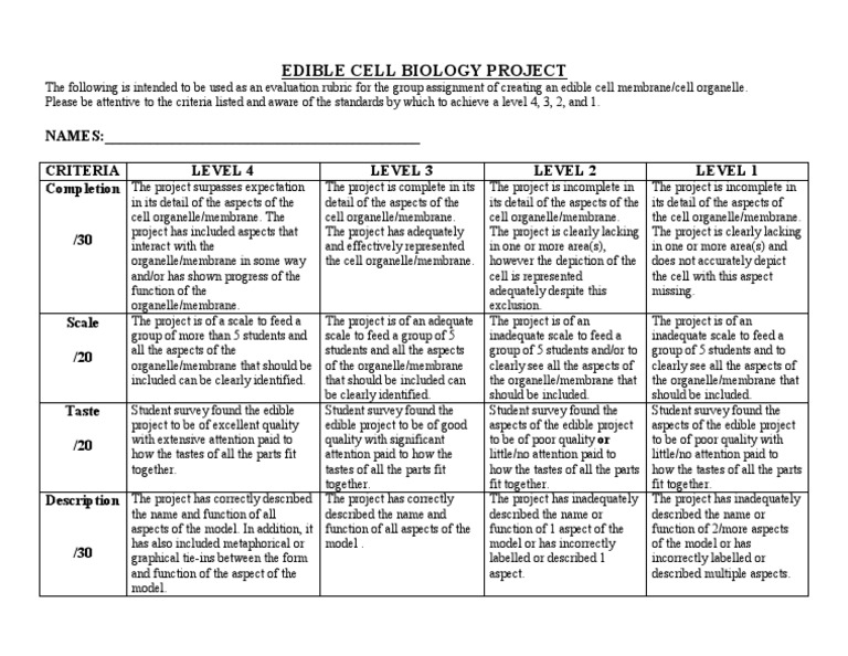 Edible Cell Biology Project Rubric | PDF | Organelle | Cell Membrane