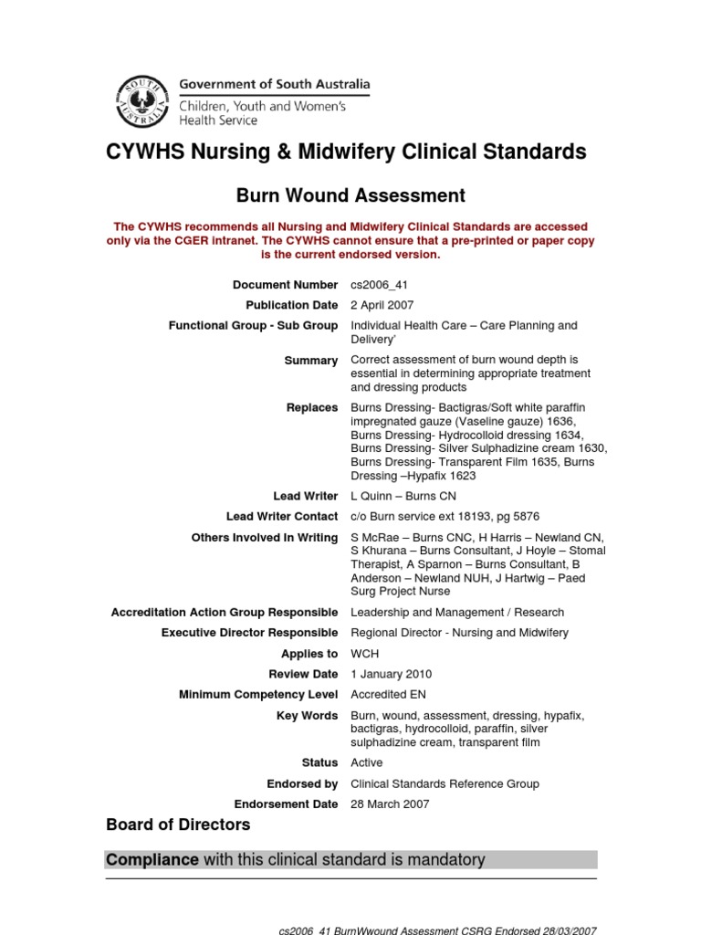 CYWHS Nursing & Midwifery Clinical Standards: Burn Wound Assessment ...