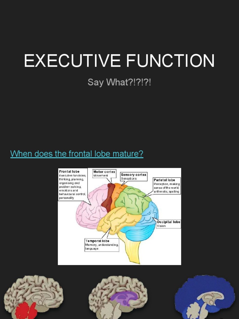 Executive Function | PDF