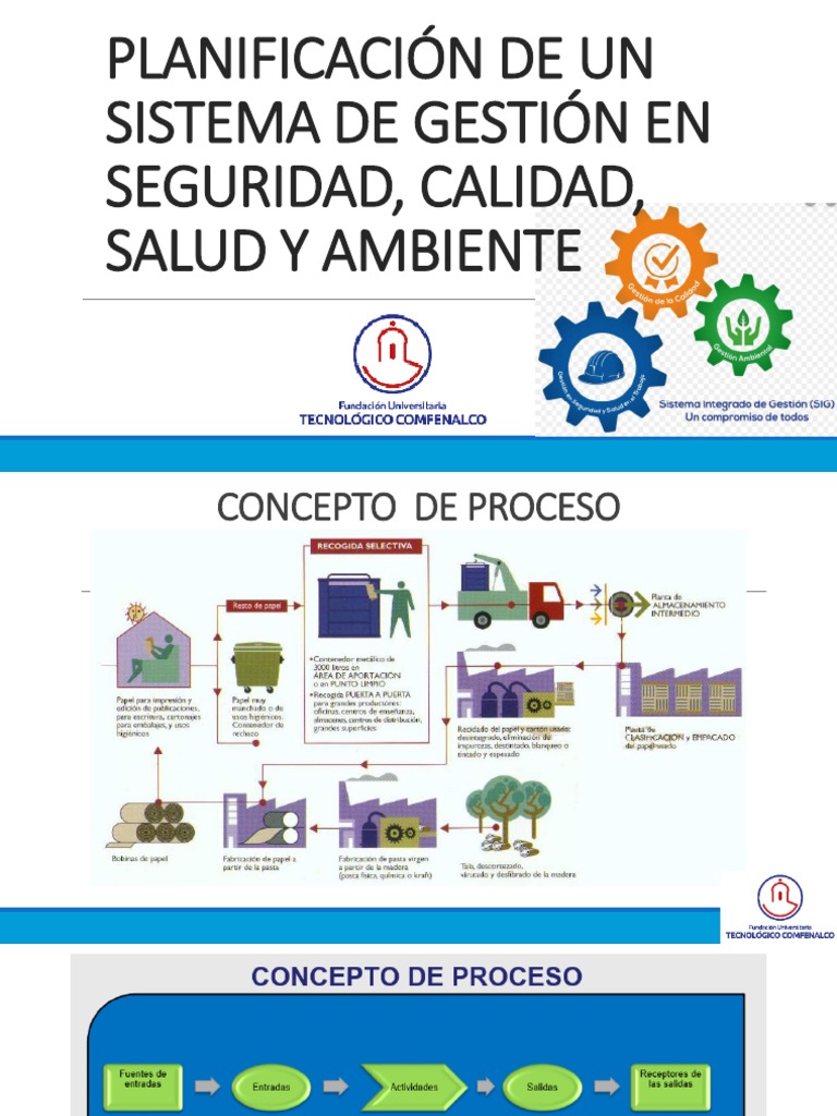Planificación De Un Sistema De Gestión En Hseq Pdf Empresas