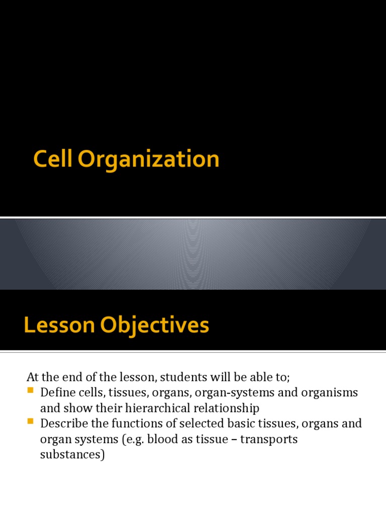Cell Organization Grade 7 | PDF | Tissue (Biology) | Blood