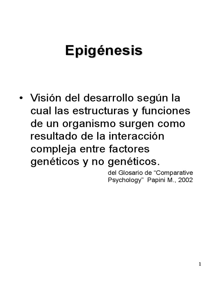 Epigenesis | PDF | Sinapsis | Neurona