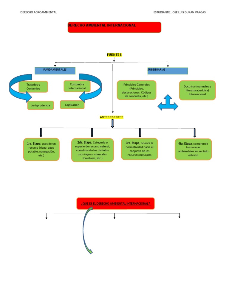 Mapa Conceptual Derecho Ambiental Internacional | PDF | Protocolo de Kyoto | Entorno natural