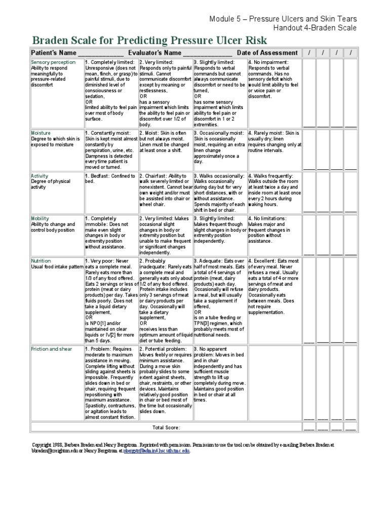 4 Braden Scale For Predicting Pressure Ulcer Risk | PDF | Pain ...