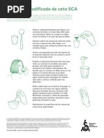 Formato SCAA (Esp) | PDF | Comida y bebida