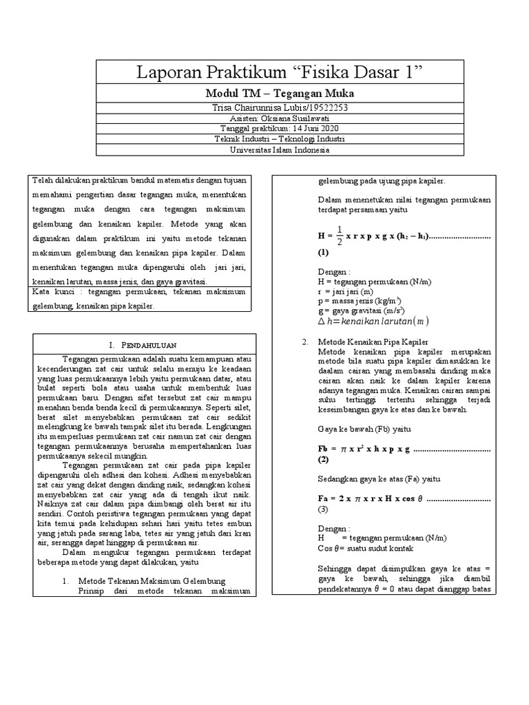 Laporan Praktikum "Fisika Dasar 1": Modul TM - Tegangan Muka | PDF