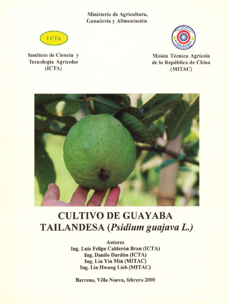 Cultivo de Guayaba Tailandesa, 2000 | PDF