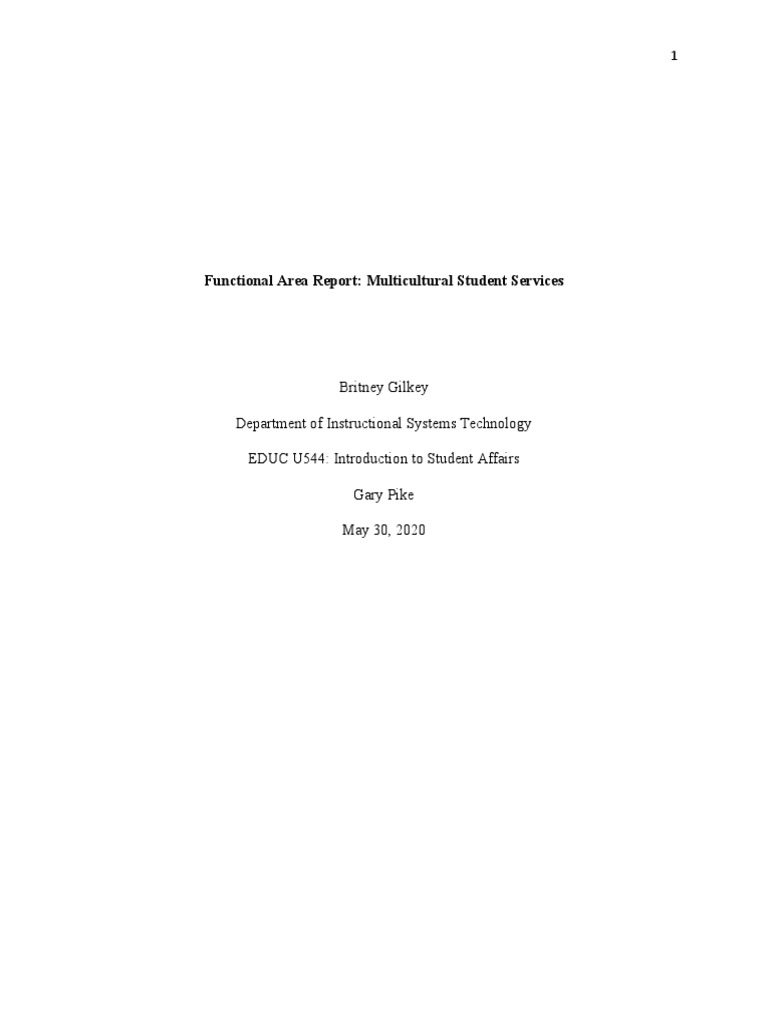 Functional Area Report | PDF | Student Affairs | Multiculturalism