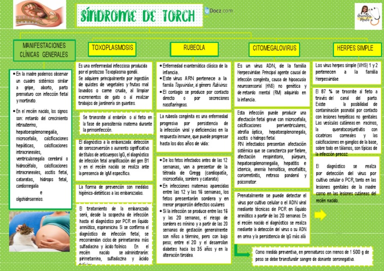 Sindrome Torch | PDF | Virus | Salud pública