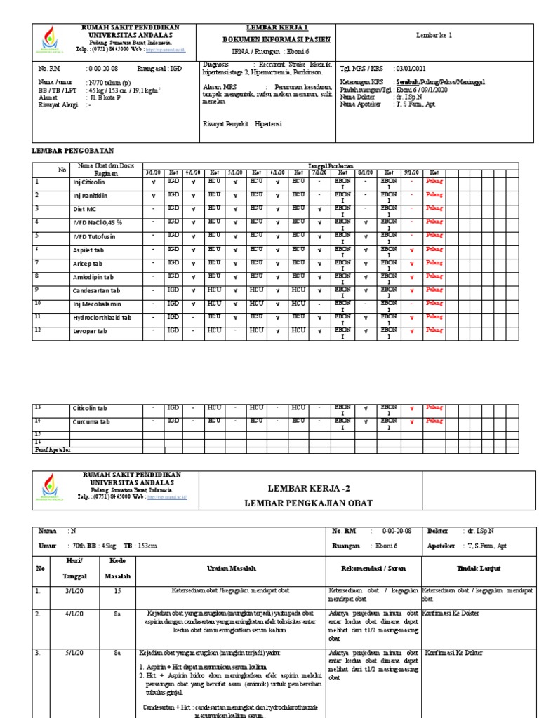 Contoh Lembar Kerja DRP | PDF