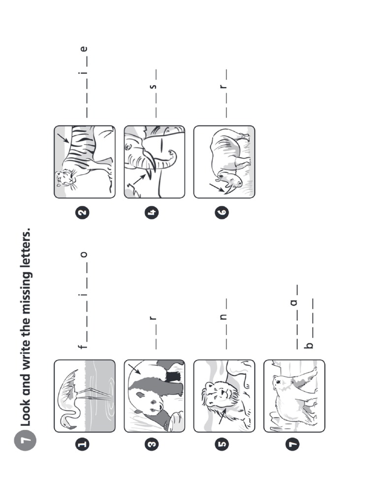 Tiger 5 Unit 3 Practice | PDF