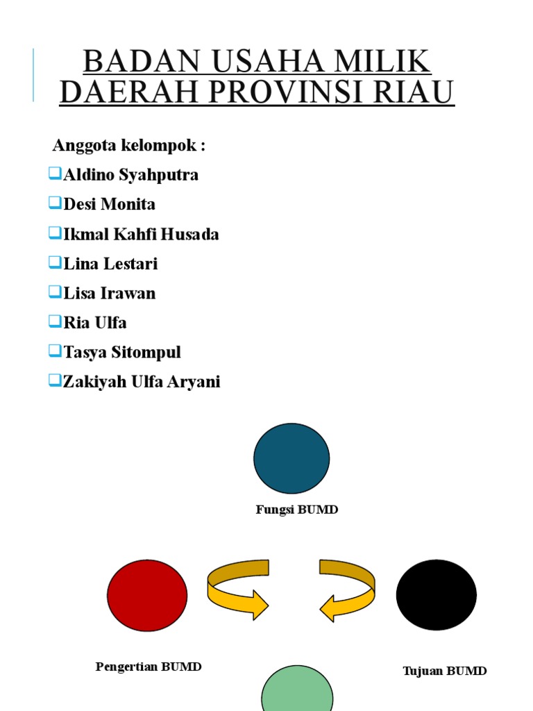 Bumd Prov Riau | PDF