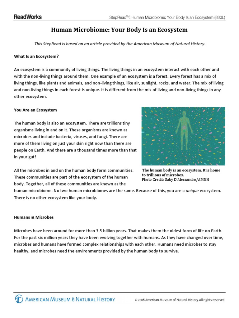 Human Microbiome Your Body Is An Ecosystem Stepread1 | PDF | Bacteria ...