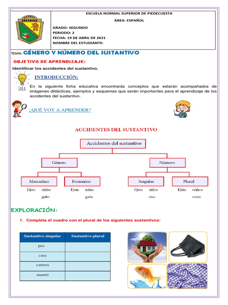 Género y Número del Sustantivo para Niños | PDF