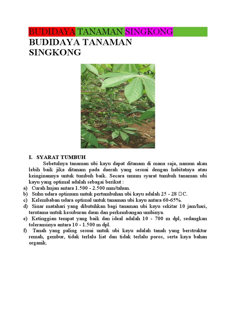 Panduan Budidaya Tanaman Singkong | PDF