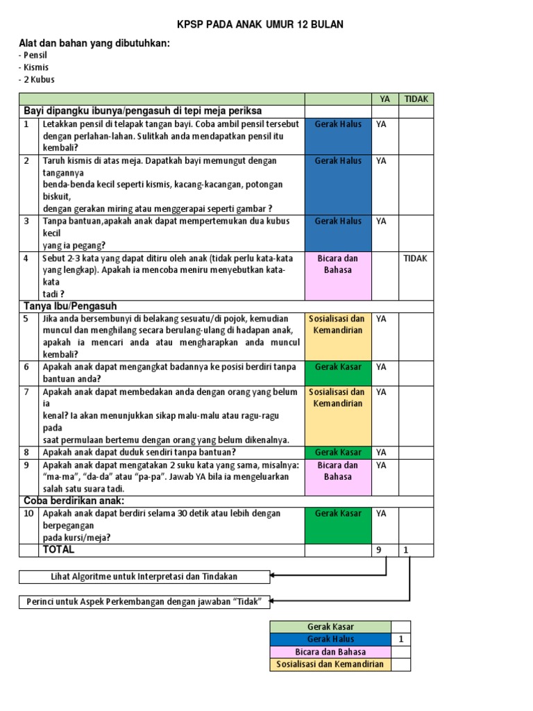 KPSP Anak 12 Bulan | PDF