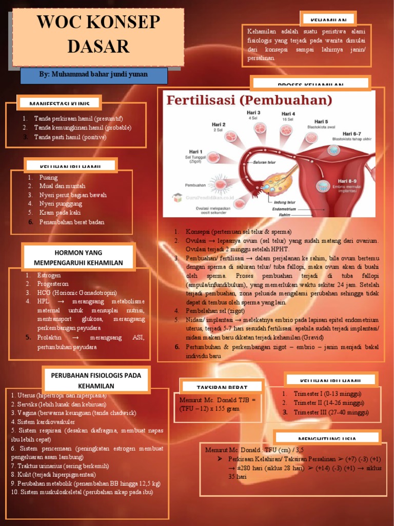 Woc Mind Map Anc | PDF