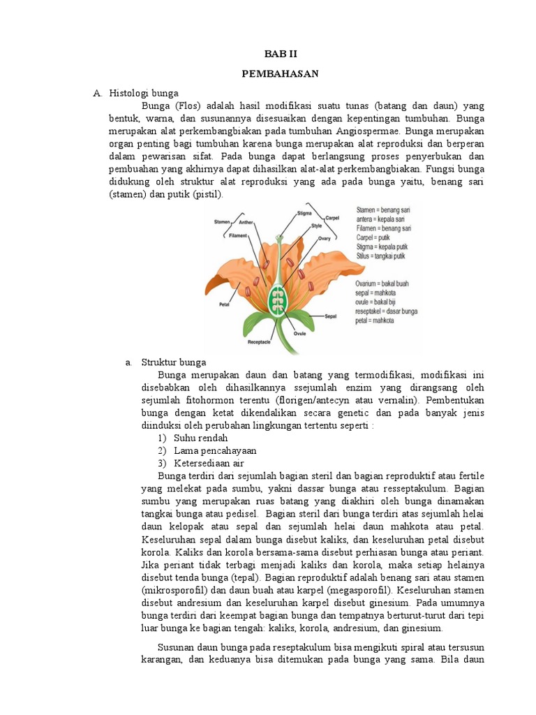 Anatomi dan Struktur Bunga Angiospermae | PDF