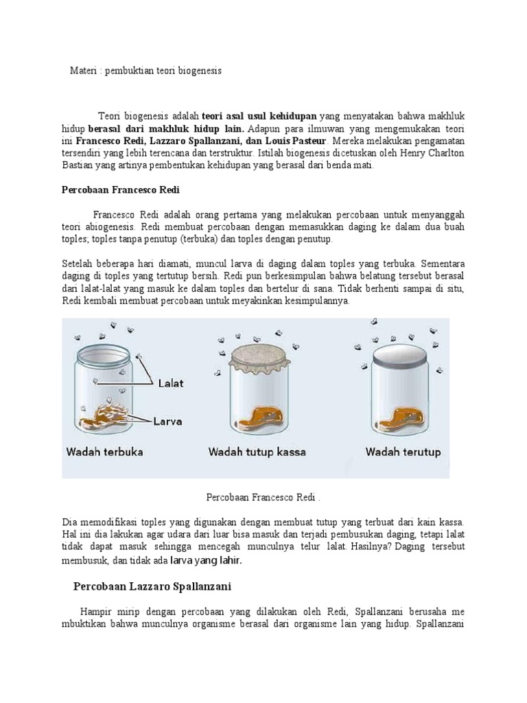 Teori Biogenesis | PDF