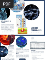 Mapa Conceptual Liquidos y Electrolitoss | PDF | Potasio | Dieta y nutrición