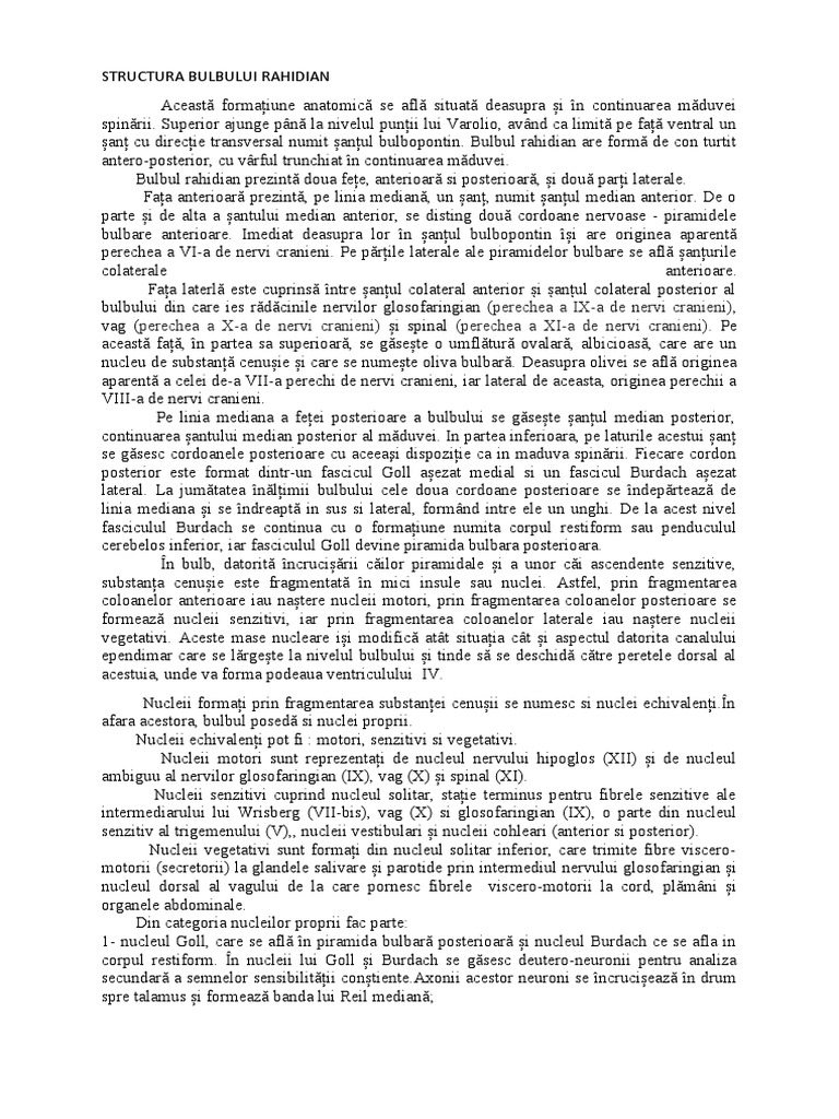 Structura Bulbului Rahidian | PDF