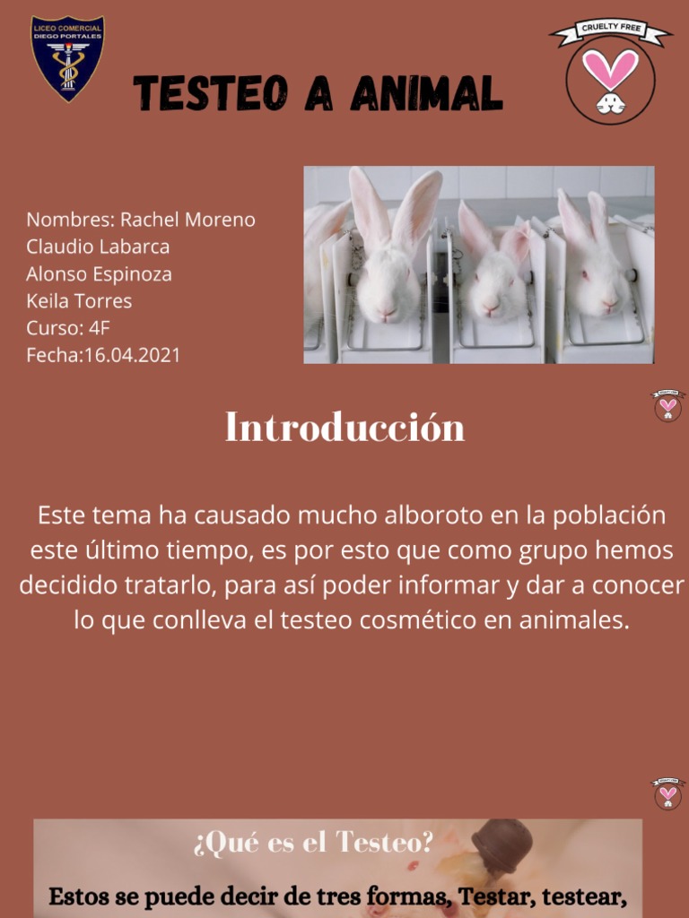 Testeo en Animales | PDF