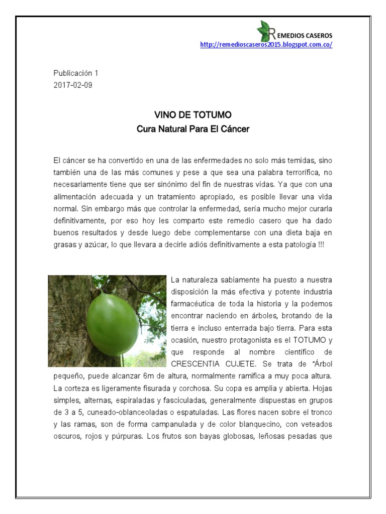 Publicación 1 - Vino de Totumo | PDF | Alimentos | Salud y bienestar
