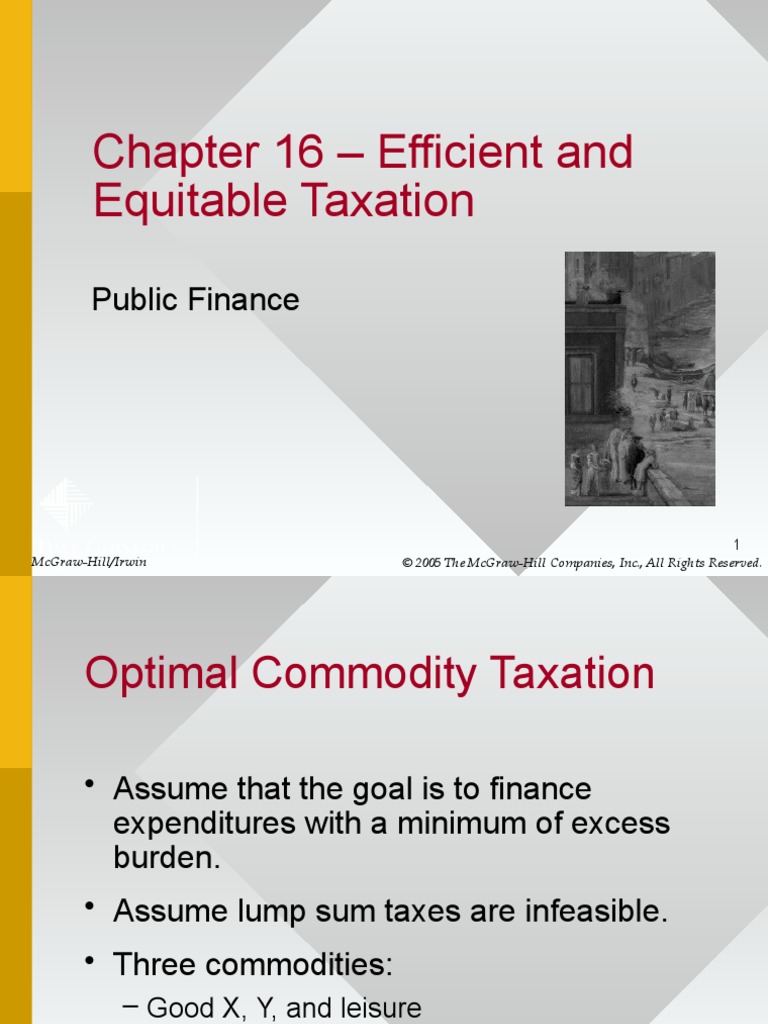 Chapter 16 - Efficient and Equitable Taxation: Public Finance | PDF ...
